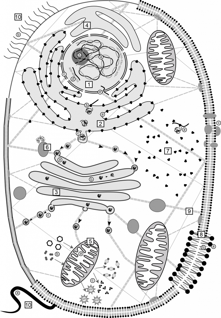 Realidad Aumentada con QuiverVision - El Aula del Futuro